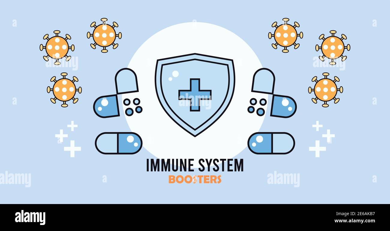 inmune system booster shield with capsules drugs vector illustration ...