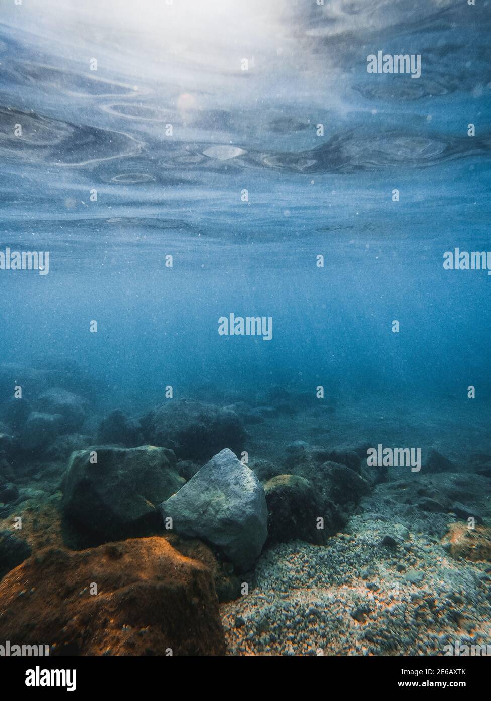Underwater shot scene sea hi-res stock photography and images - Alamy
