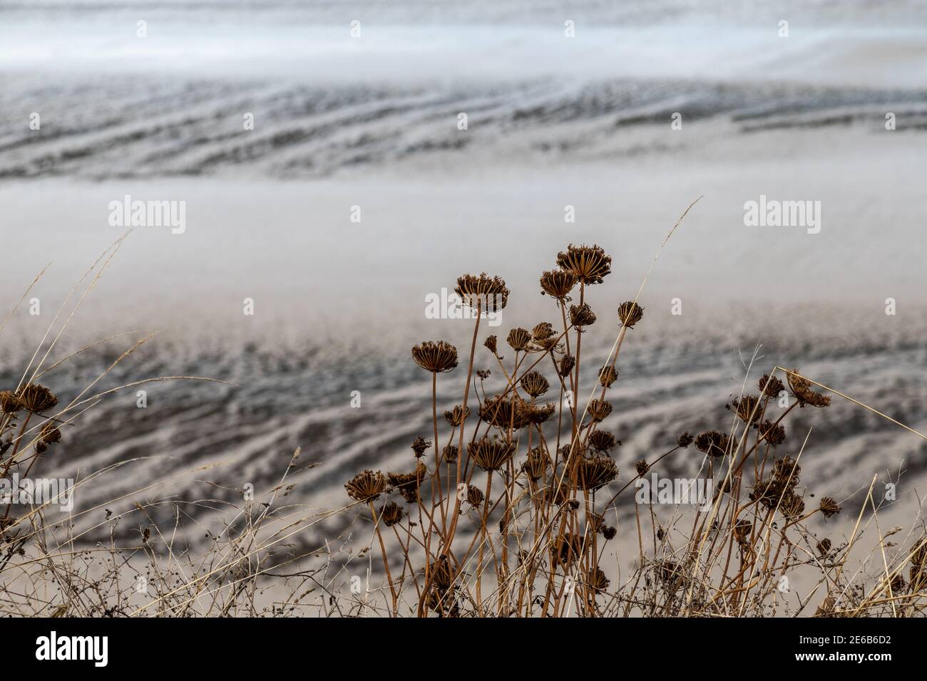 Normandy wwii hi-res stock photography and images - Alamy