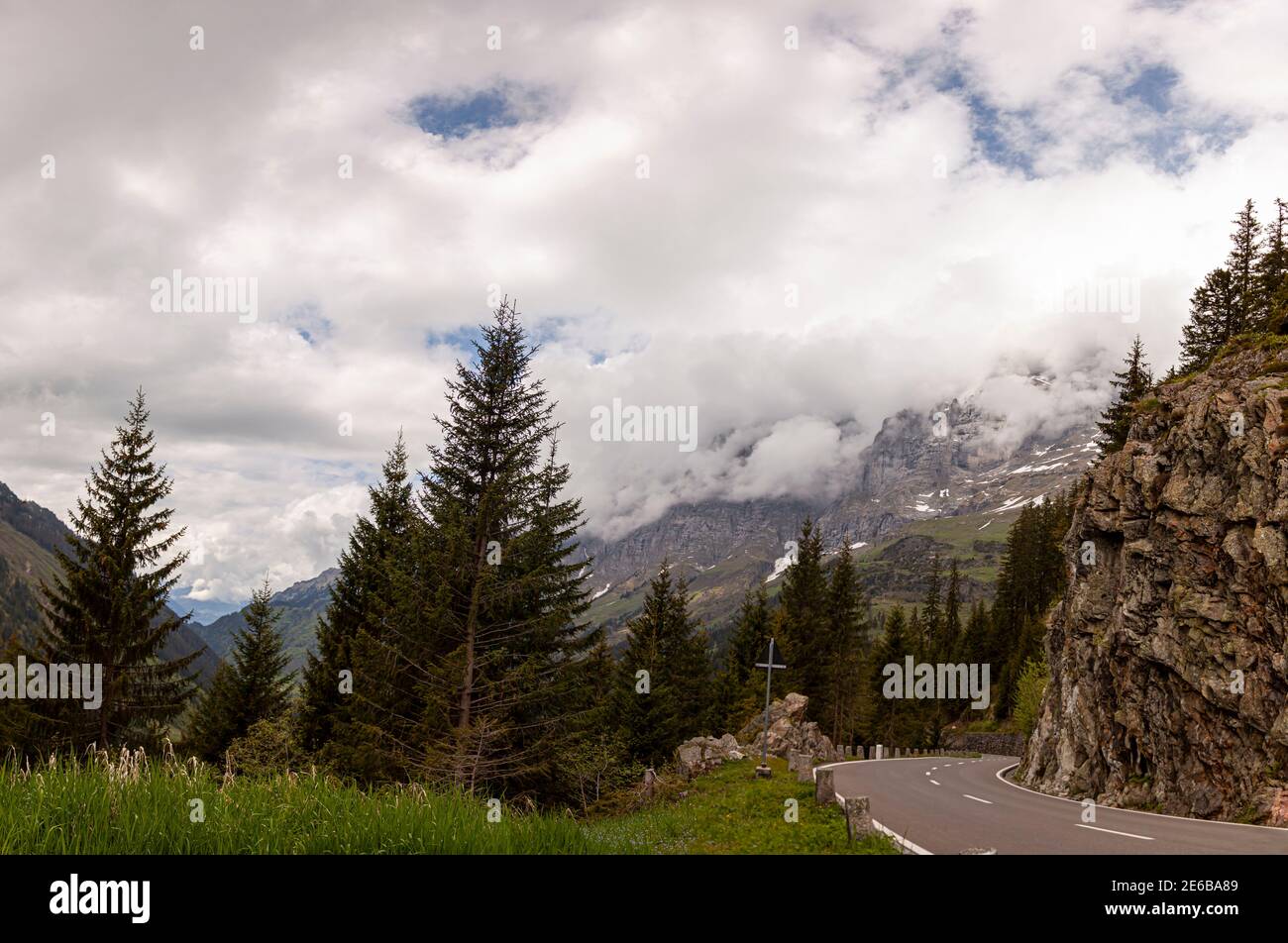 High elevation flowers hi-res stock photography and images - Alamy