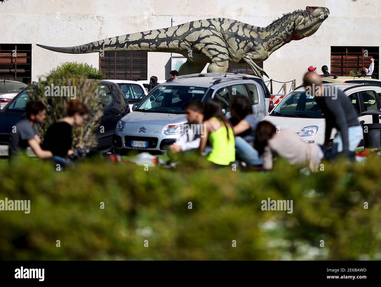 Living dinosaurs hi-res stock photography and images - Alamy