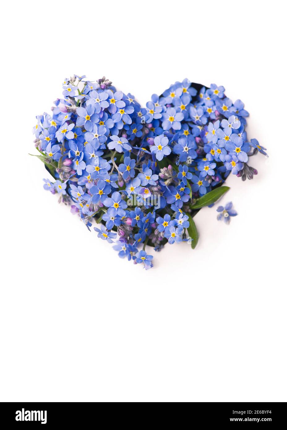 Forget Me Not Flowers Heart