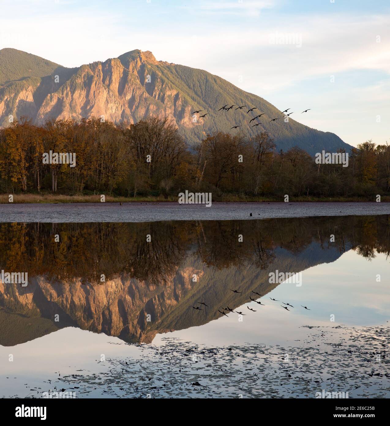 Calm reflection of Mount Si in Borst Pond near Snoqualmie, WA. Sight of ...