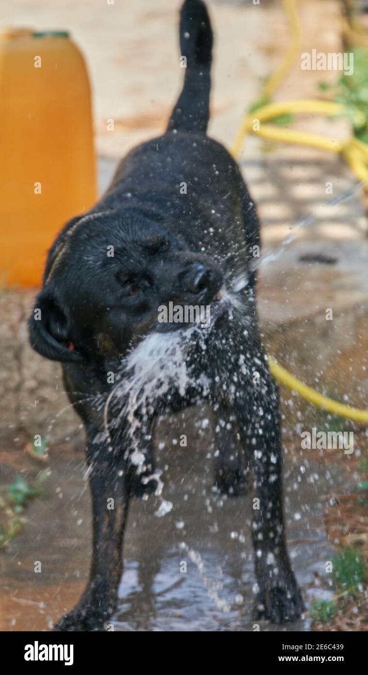 Drinkin water hi-res stock photography and images - Alamy