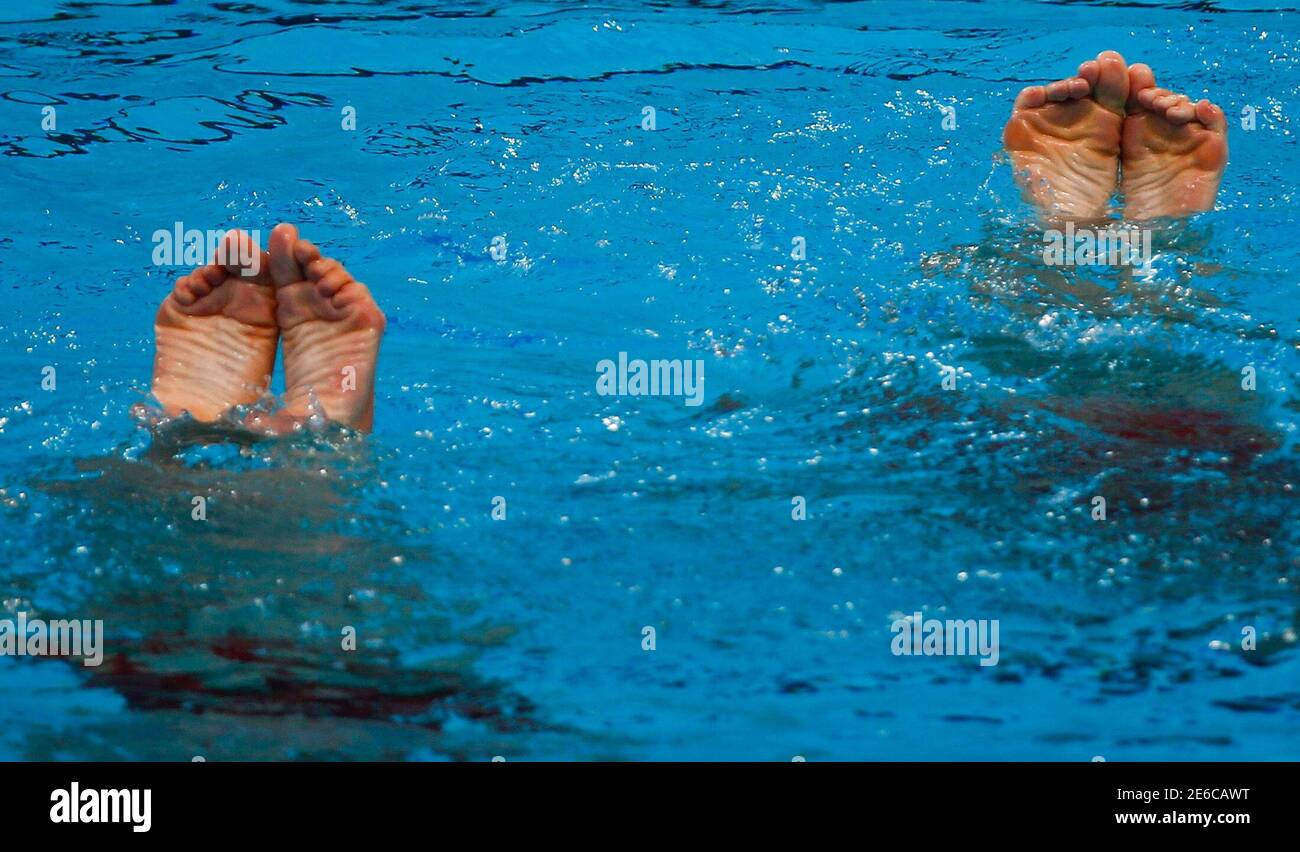Manners Wood High Resolution Stock Photography and Images - Alamy