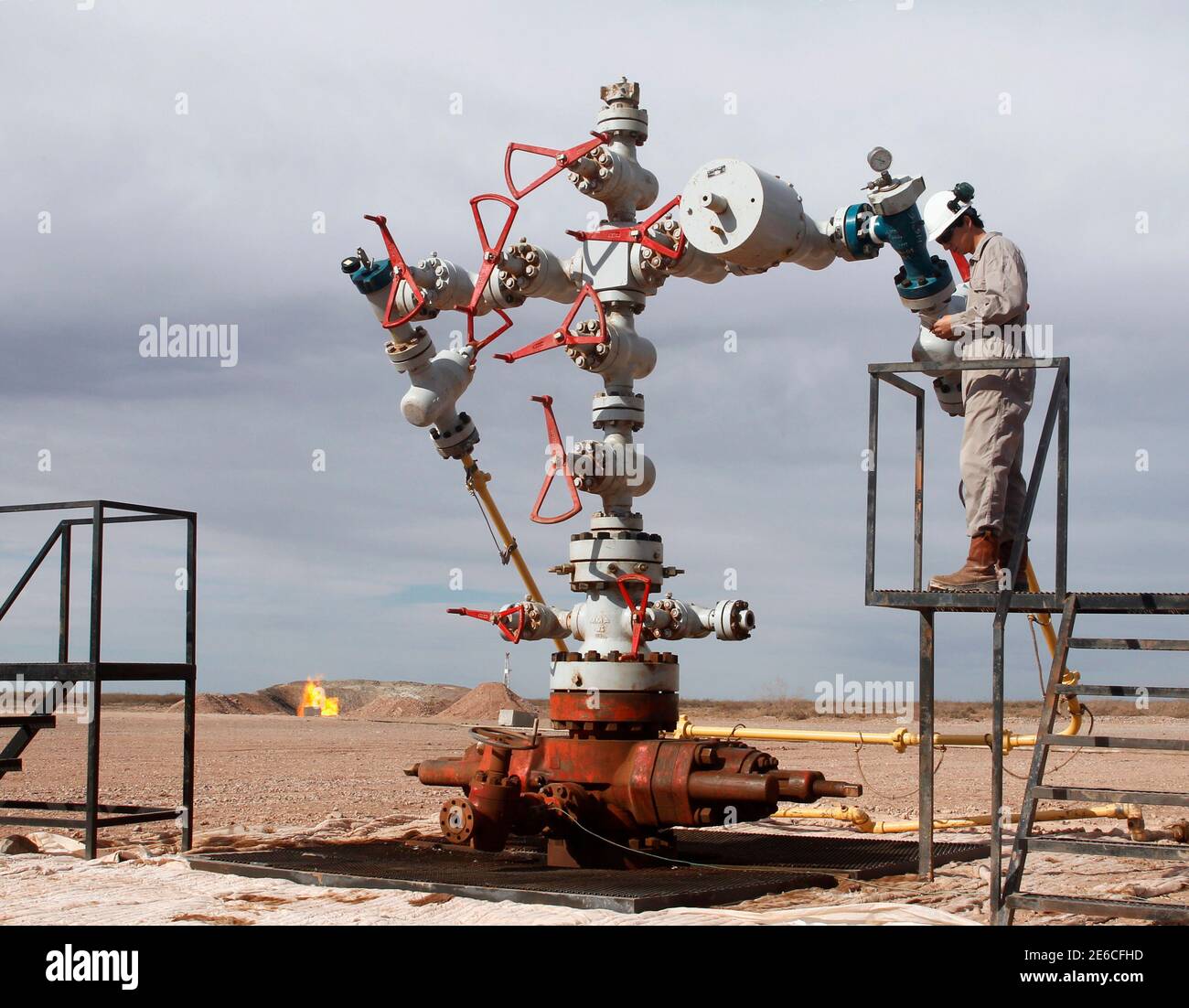 1970s largest tree hi-res stock photography and images - Alamy