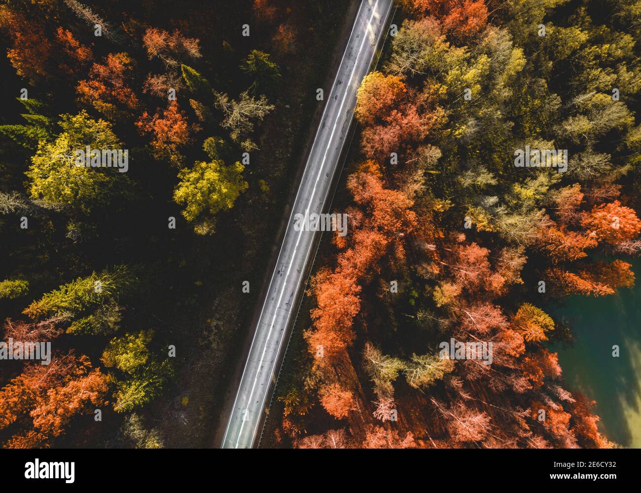 Highway among trees hi-res stock photography and images - Alamy