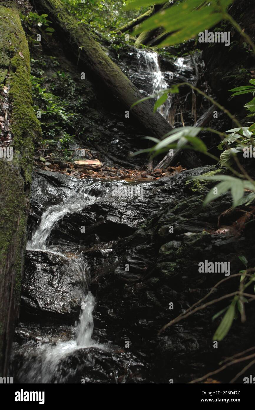 Small waterfalls on the bed of a narrow creek in the middle of ...