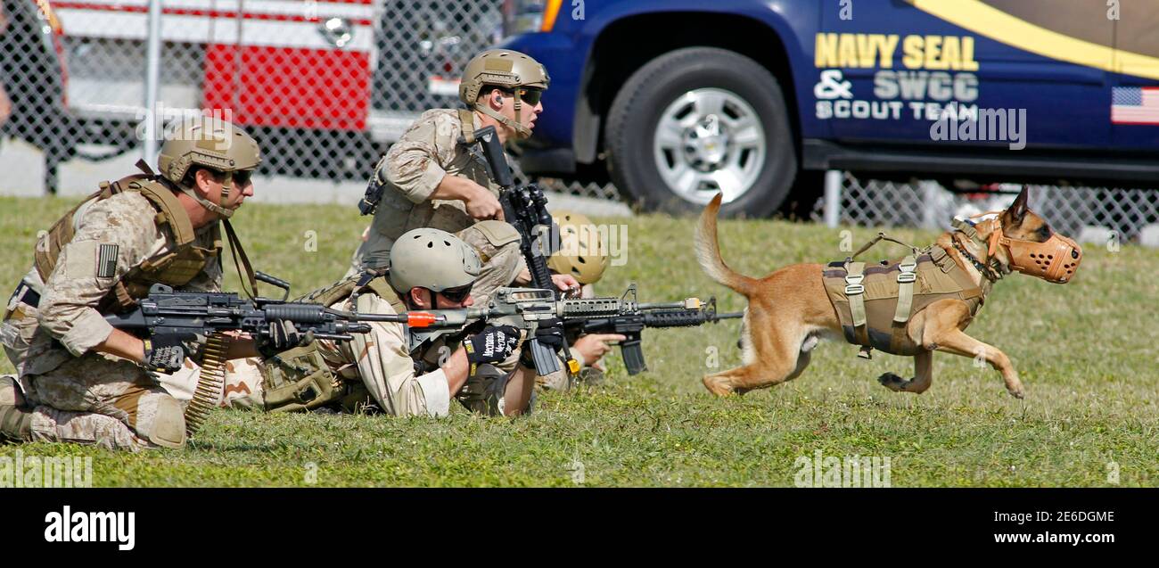 Do Navy Seal Teams Use Dogs