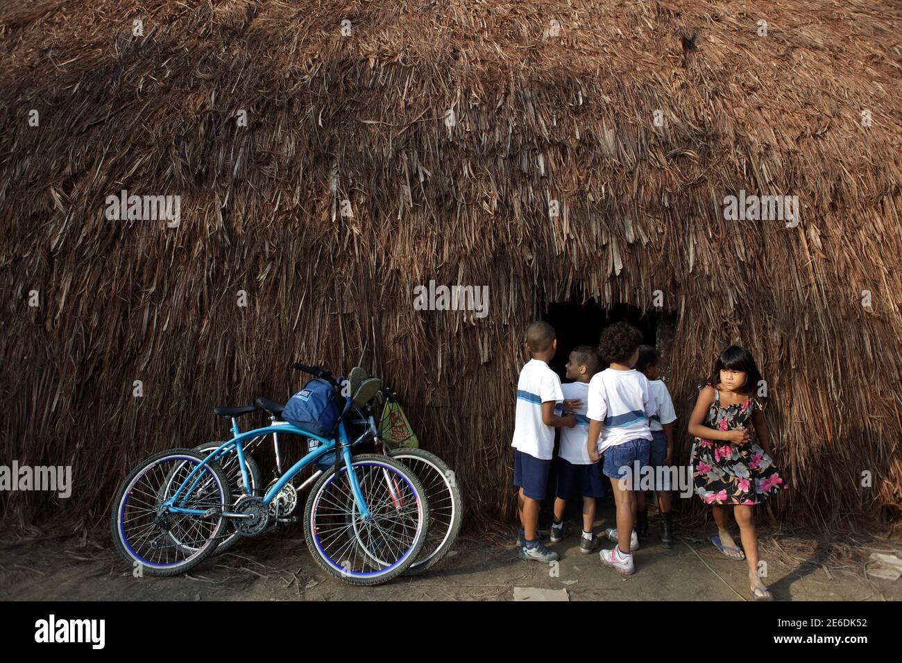 Kamayura High Resolution Stock Photography and Images - Alamy
