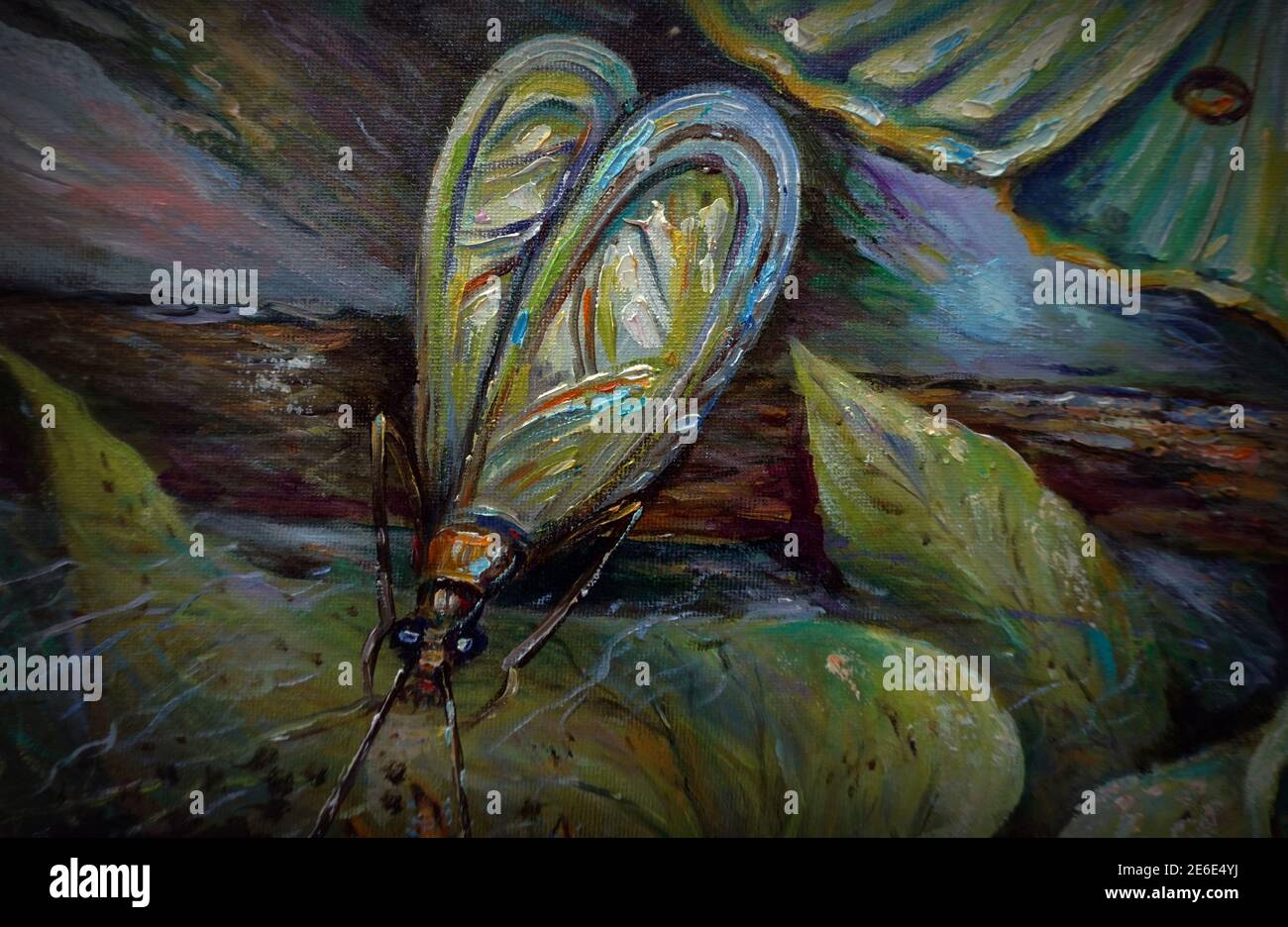 Art, painting, backgrounds for design ,Oil color ,Insect growth , Night ...