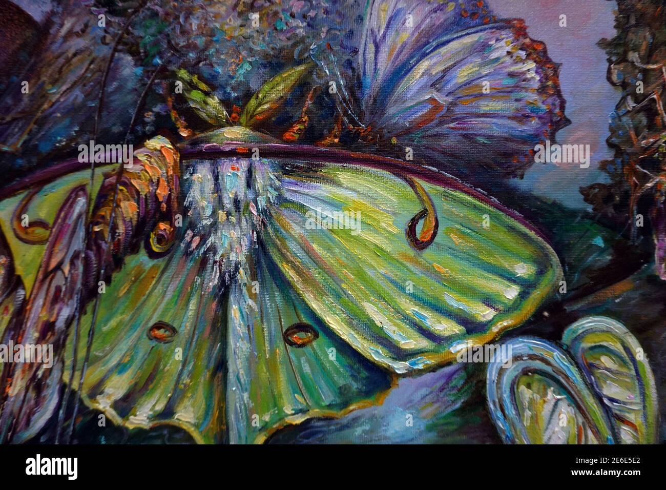 Art, painting, backgrounds for design ,Oil color ,Insect growth , Night ...