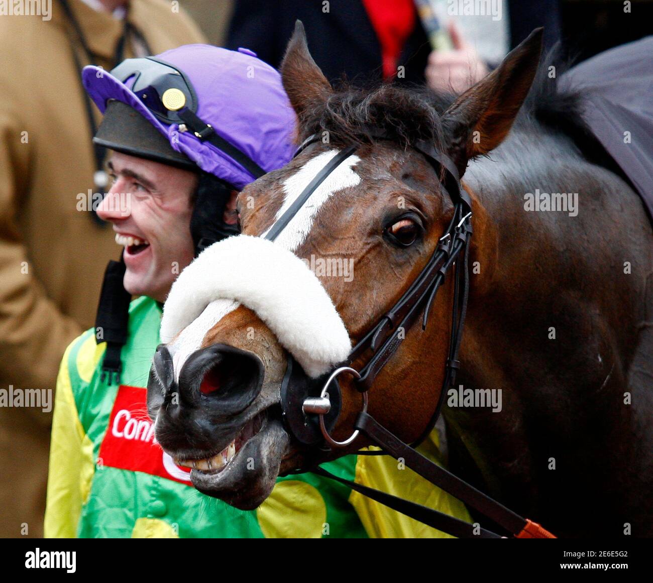 Racing cheltenham paul nicholls hi-res stock photography and images - Alamy