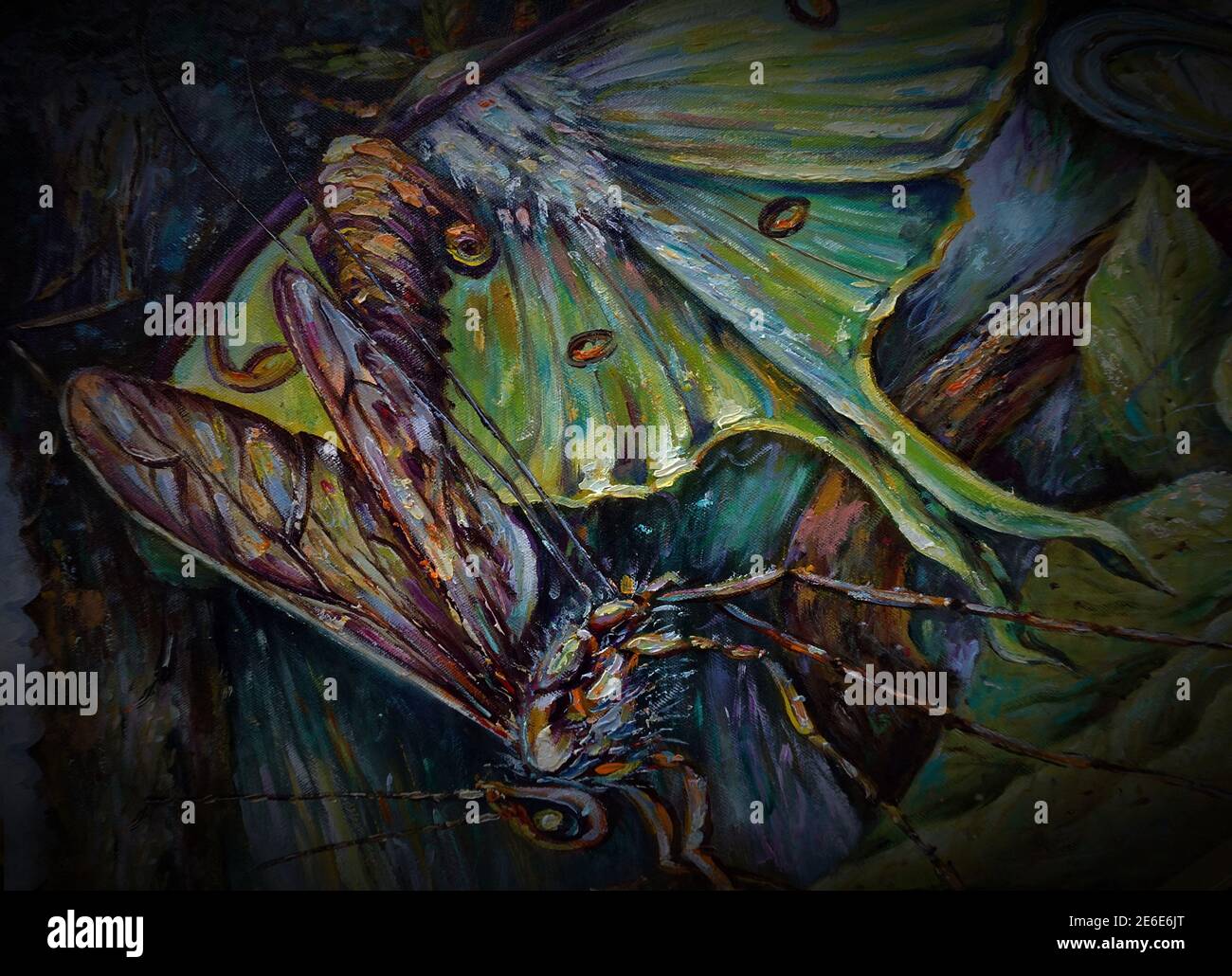 Art, painting, backgrounds for design ,Oil color ,Insect growth , Night ...