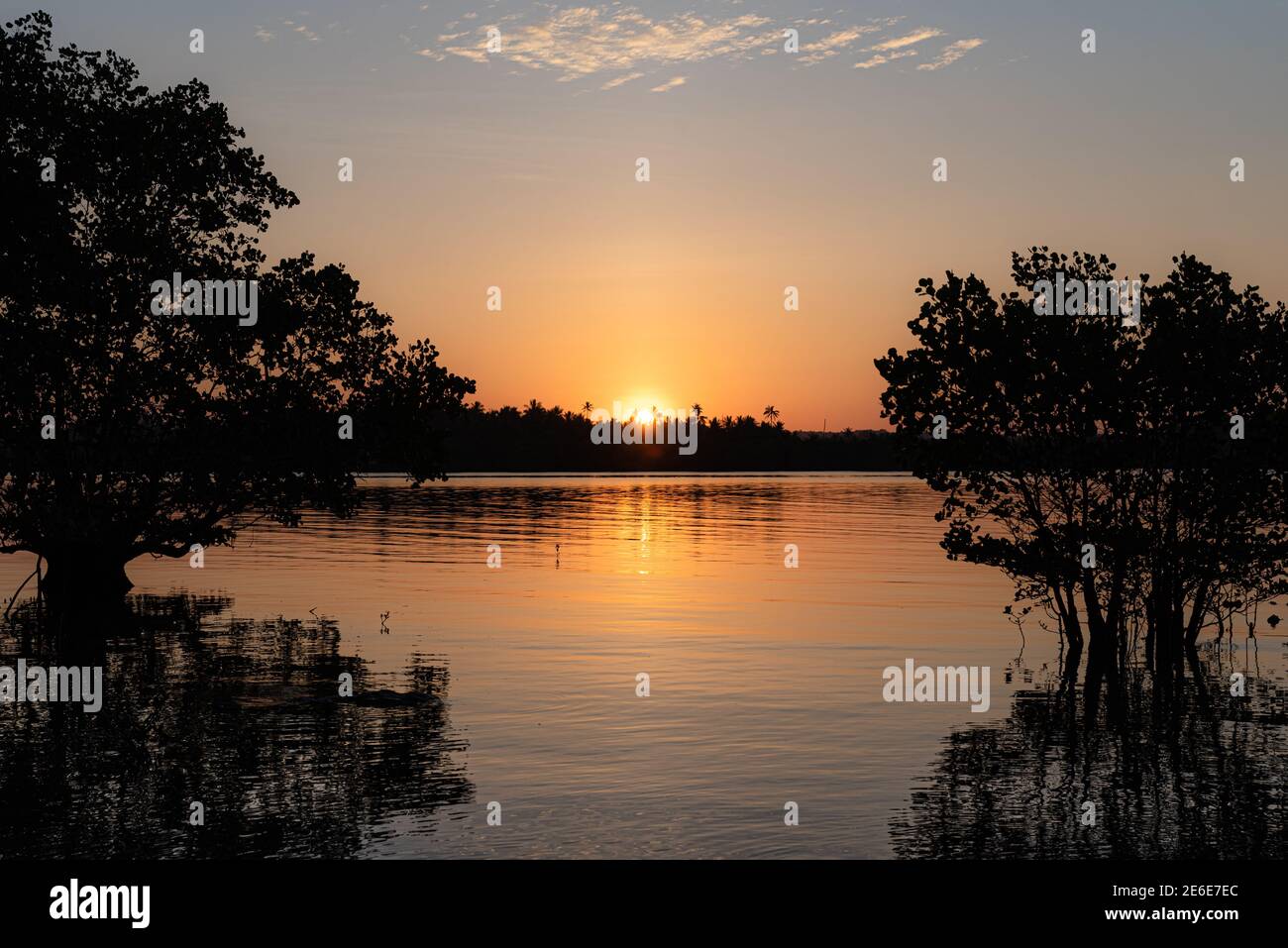 Sunset with Mangroves Trees at Siargao Island, Surigao del Norte, The ...