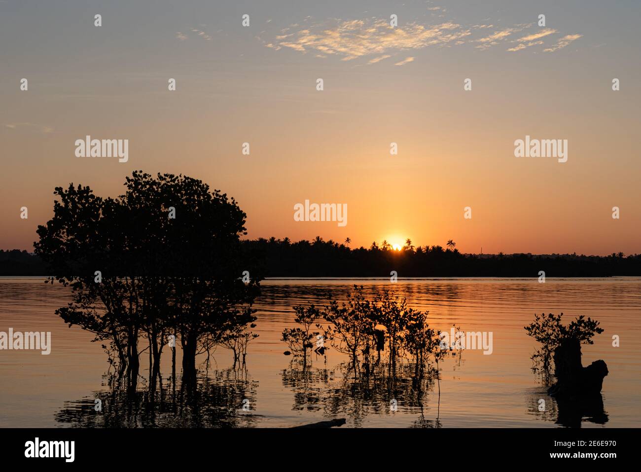 Sunset with Mangroves Trees at Siargao Island, Surigao del Norte, The ...