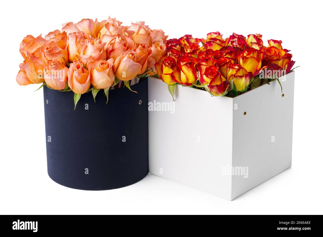 Beautiful boxes with fresh roses isolated on white background Stock ...