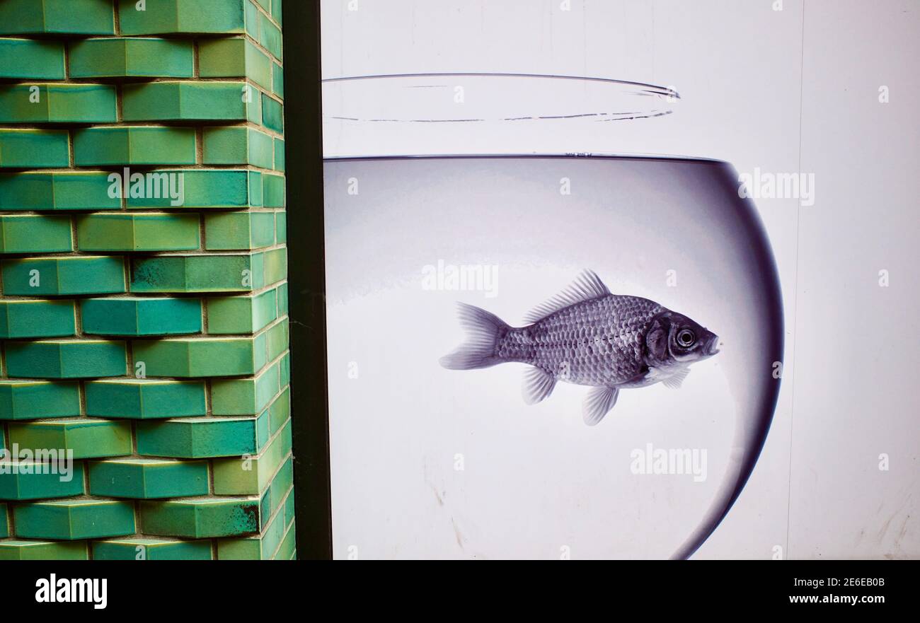 Empty fish tank hi-res stock photography and images - Alamy
