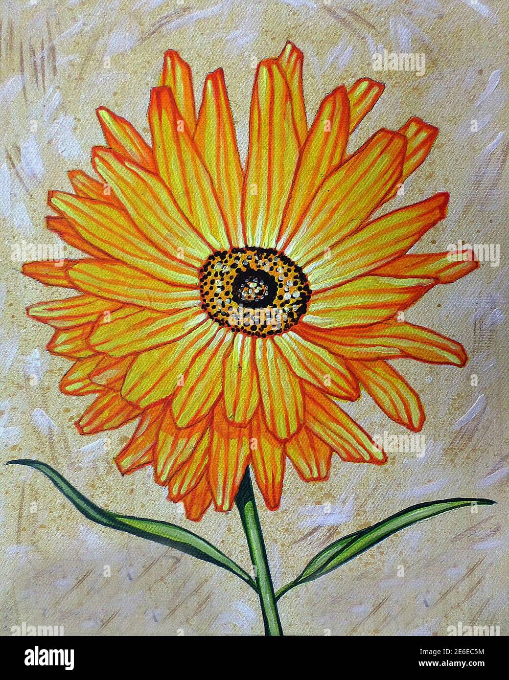 Heliopsis flower hi-res stock photography and images - Alamy
