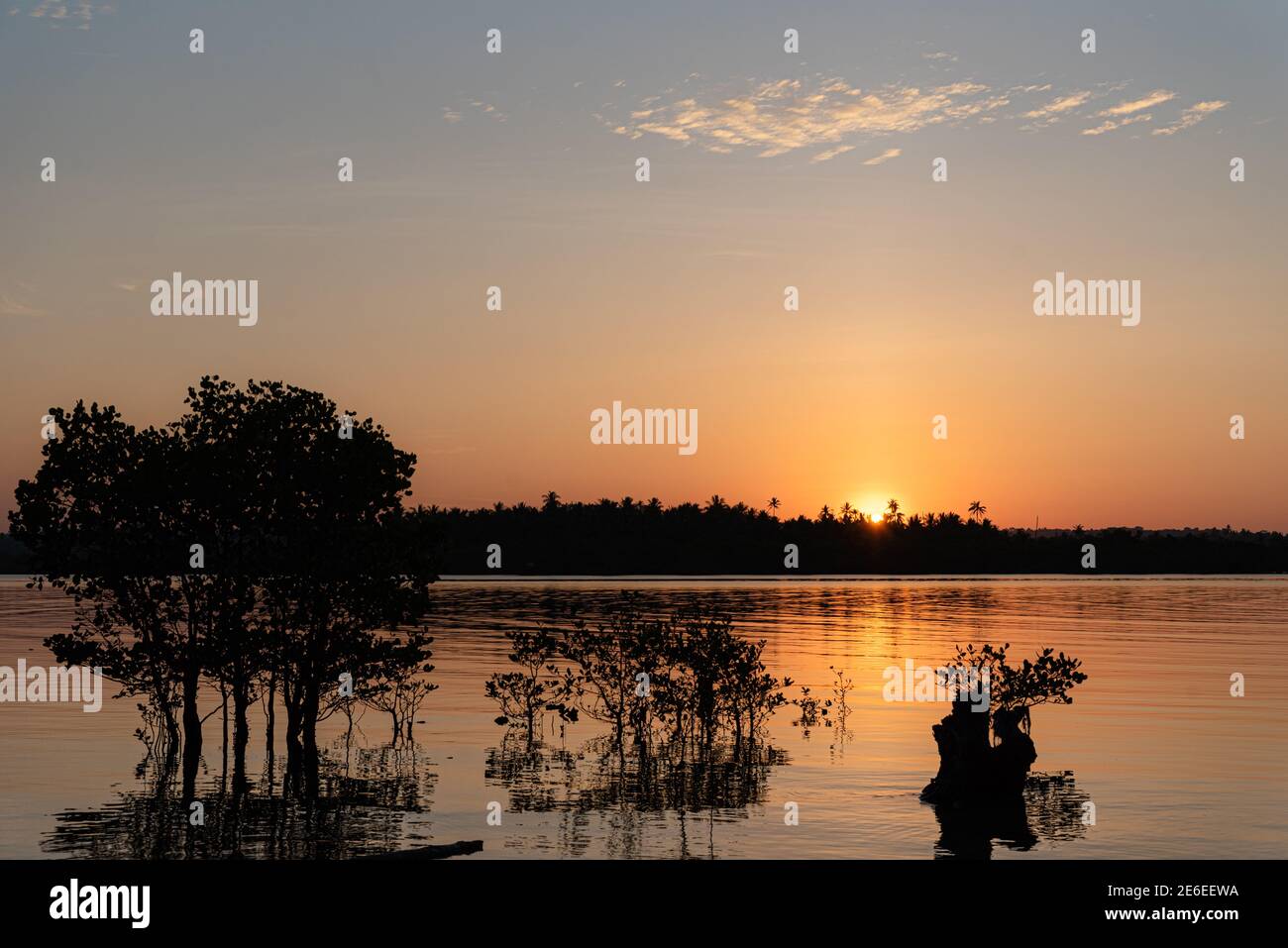 Sunset with Mangroves Trees at Siargao Island, Surigao del Norte, The ...