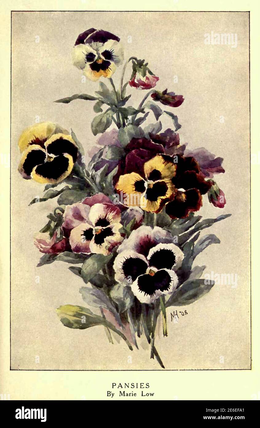 Victorian posy hi-res stock photography and images - Alamy