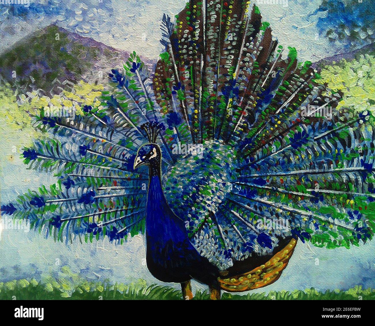 Gallery of peacock hi-res stock photography and images - Alamy
