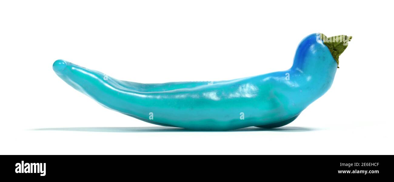 Unnatural blue sweet pointed pepper, isolated on white background Stock ...