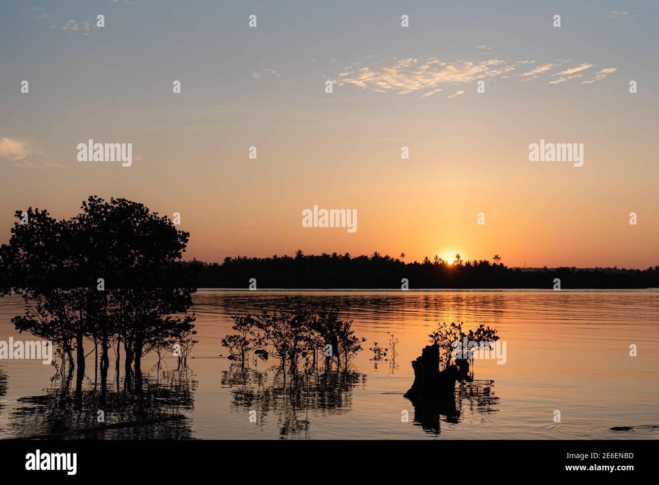 Sunset with Mangroves Trees at Siargao Island, Surigao del Norte, The ...