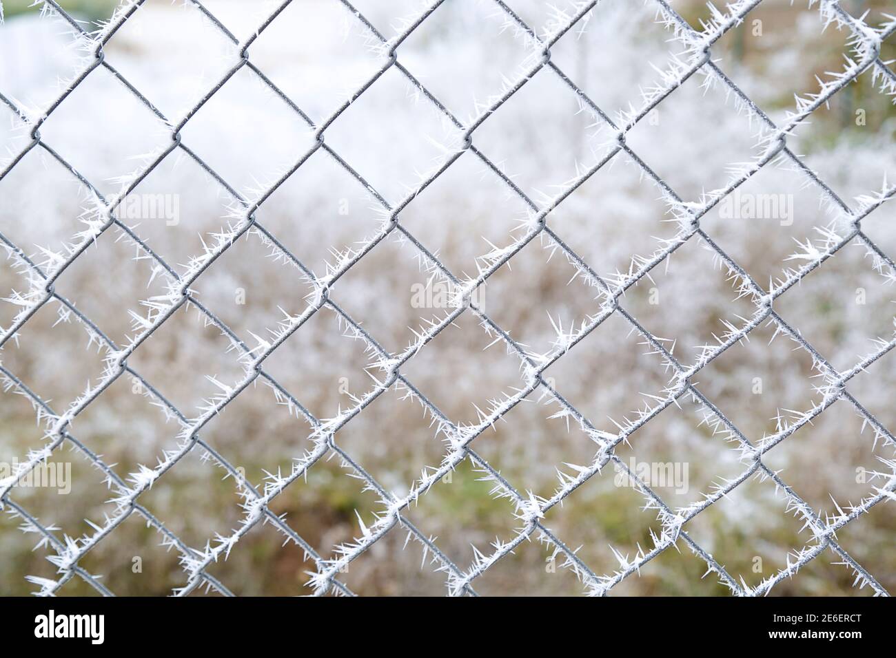 Frozen metal fence covered with frost crystals Stock Photo - Alamy