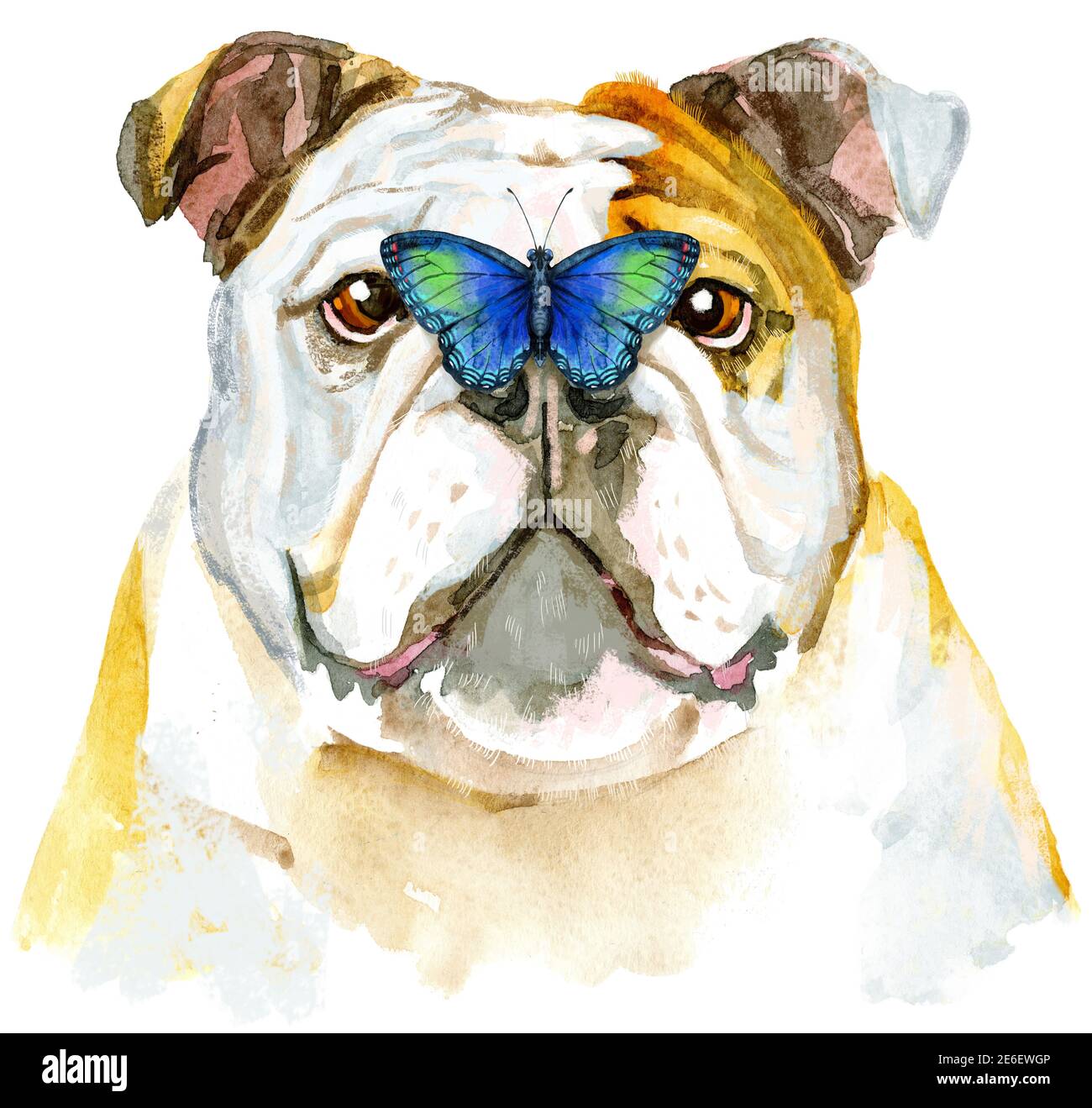 Butterfly dogs Cut Out Stock Images & Pictures - Alamy