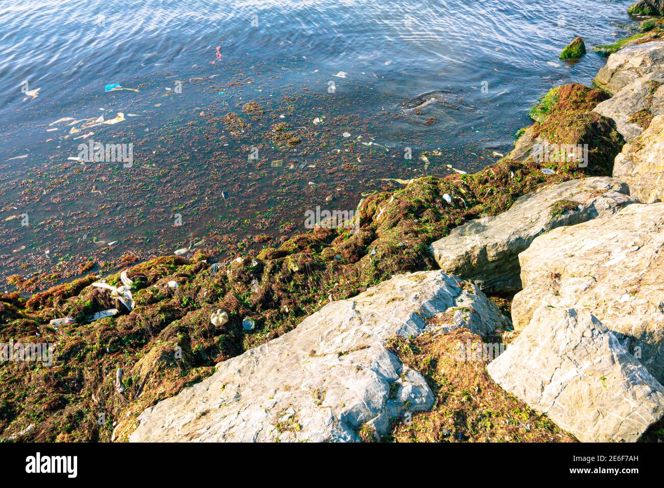 Marine pollution. polluted sea. Rocks near the sea. Polluted sea ...