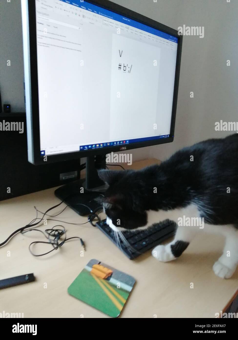 Cat on Desk Stock Photo - Alamy
