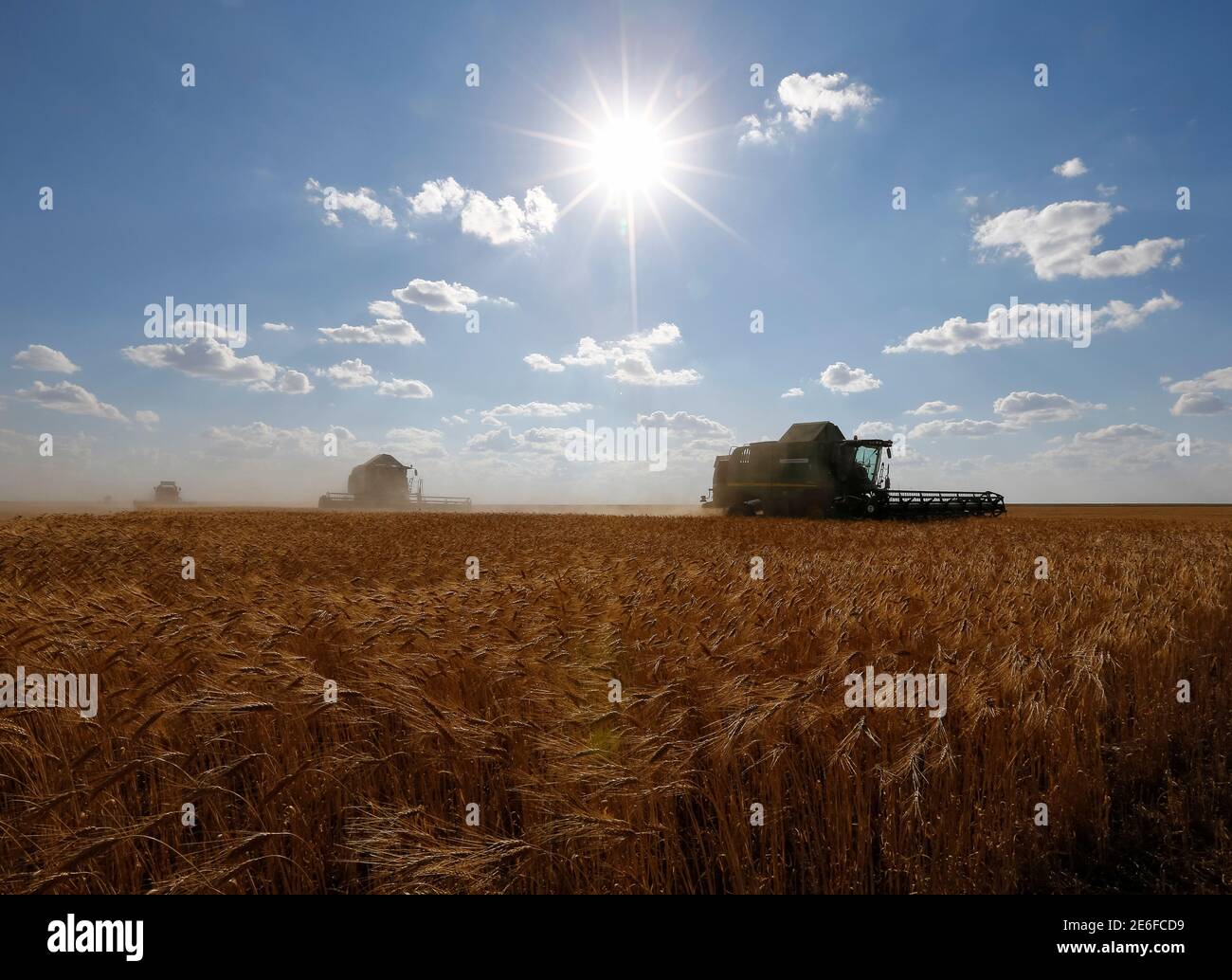 Agriculture in kazakhstan wheat hi-res stock photography and images - Alamy