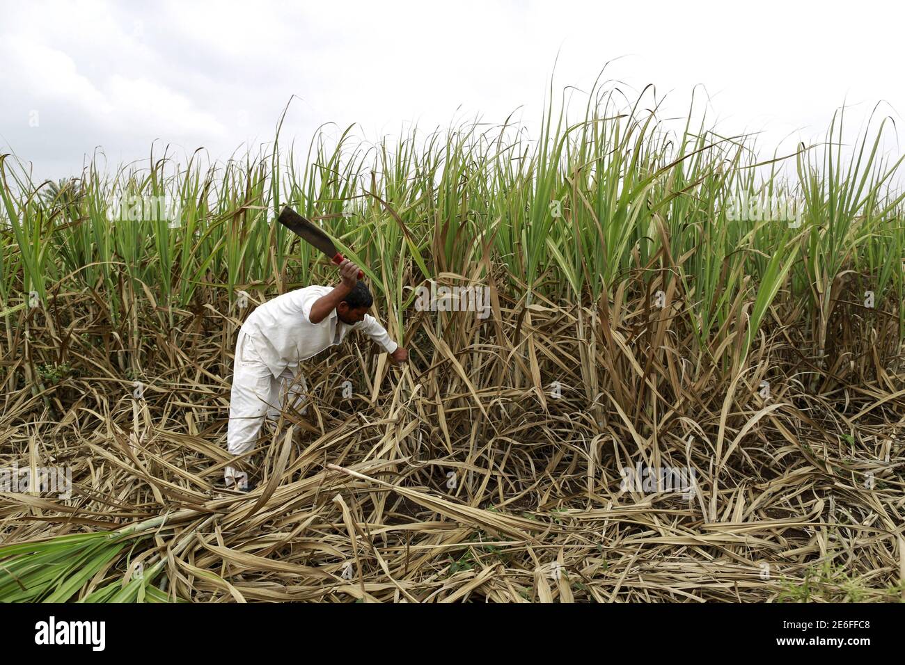 Destroyed crop india hi-res stock photography and images - Alamy