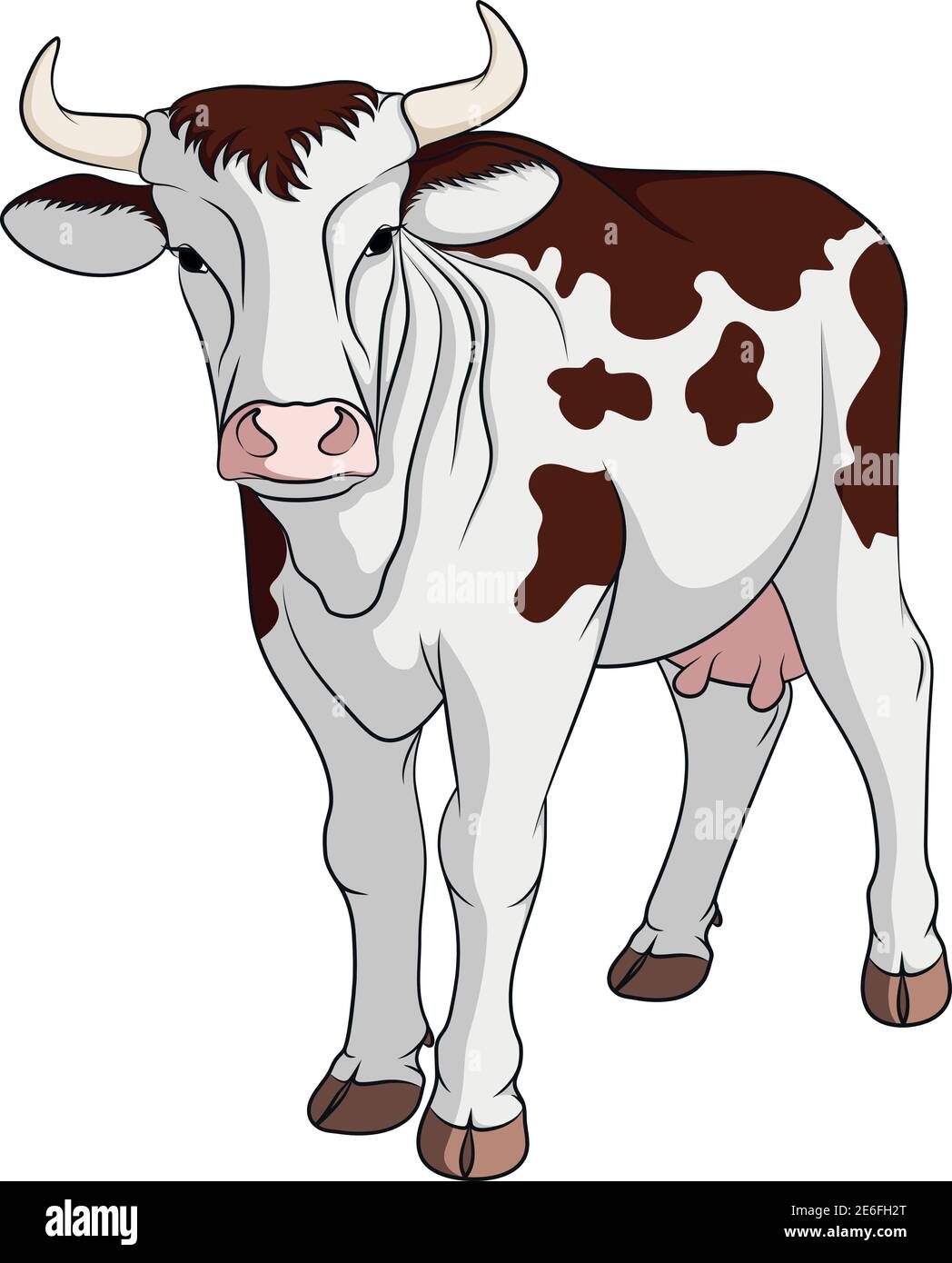Color illustration with a spotted cow. Isolated vector object on white ...