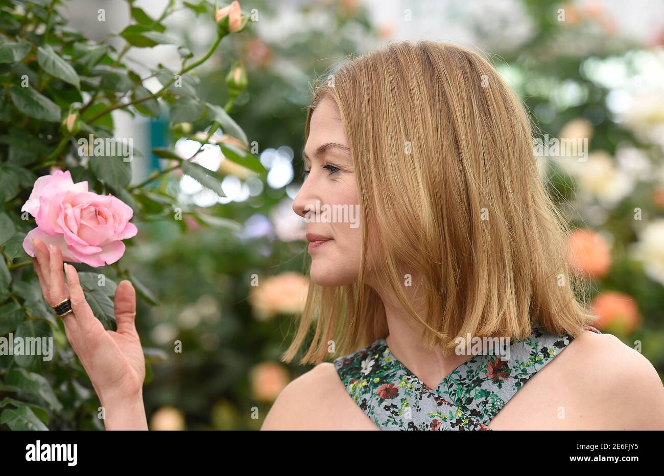 Rosamund Pike Actress High Resolution Stock Photography and Images - Alamy