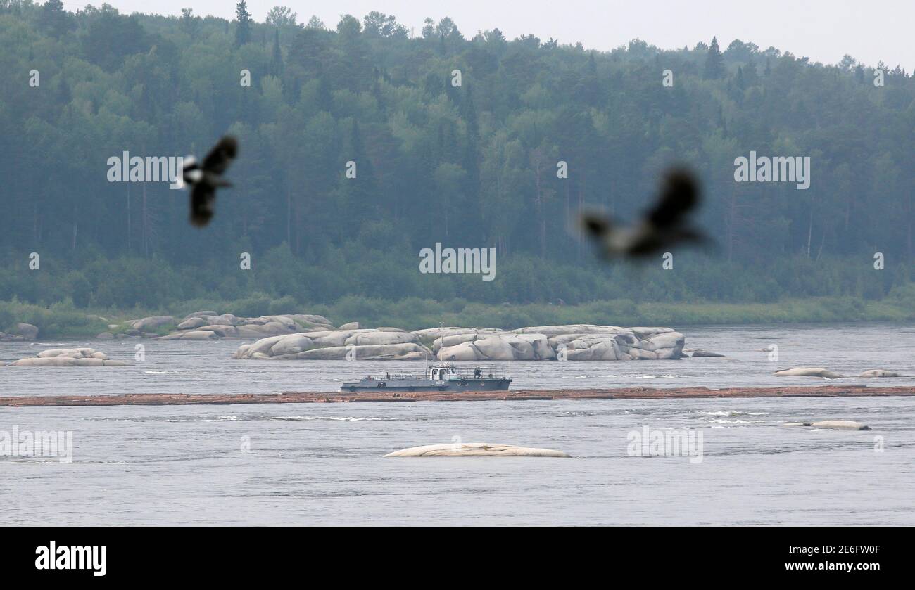 Siberian Larch Timber High Resolution Stock Photography and Images - Alamy