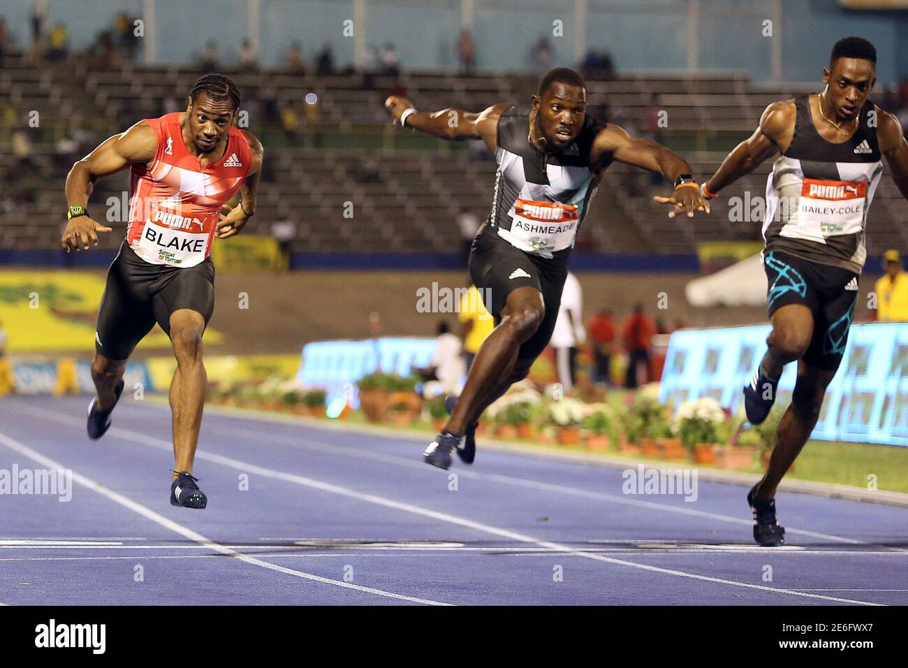 Bailey bellamy hi-res stock photography and images - Alamy