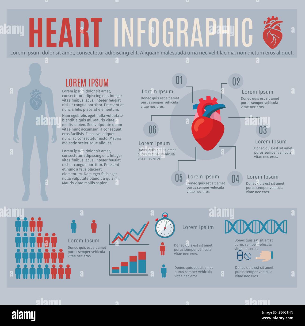 Human heart infographics with body silhouette and charts vector ...