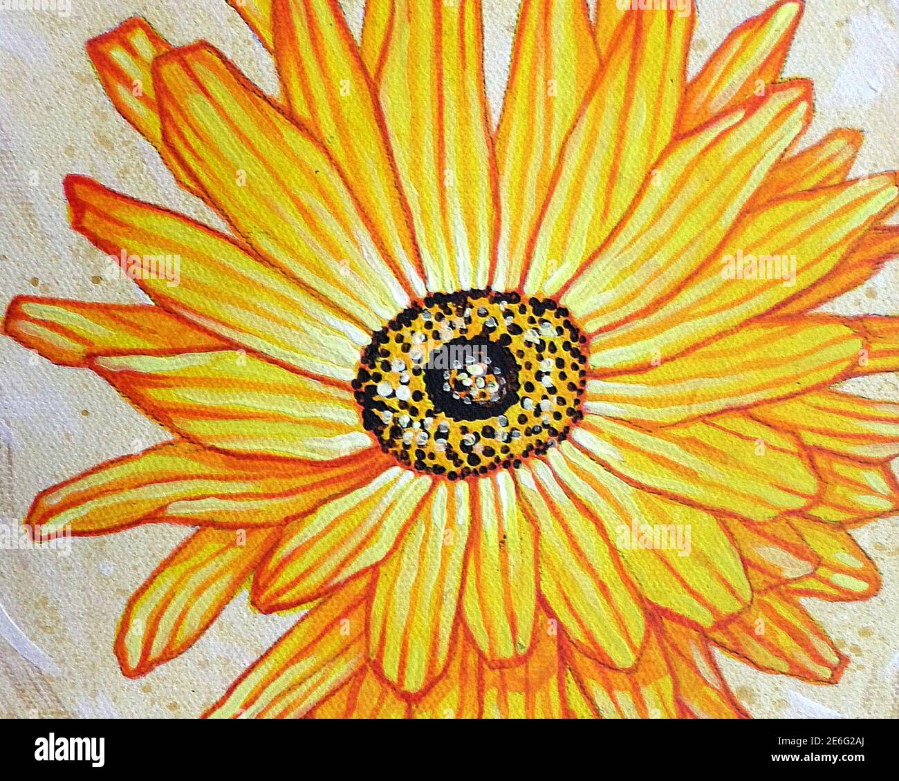 Heliopsis Flower High Resolution Stock Photography and Images - Alamy