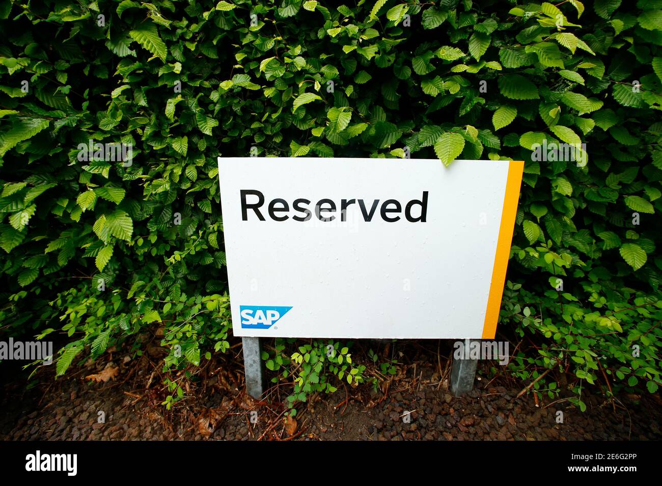 Sap Sign Logo High Resolution Stock Photography and Images - Alamy