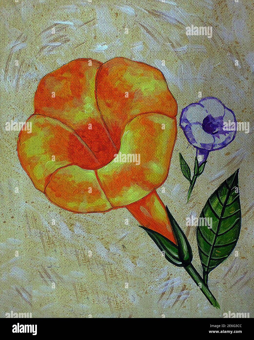 Allamanda flower hi-res stock photography and images - Alamy