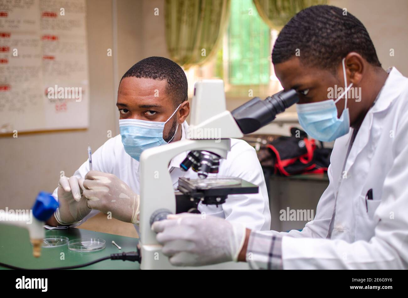 Flu Virus Microscope High Resolution Stock Photography and Images - Alamy