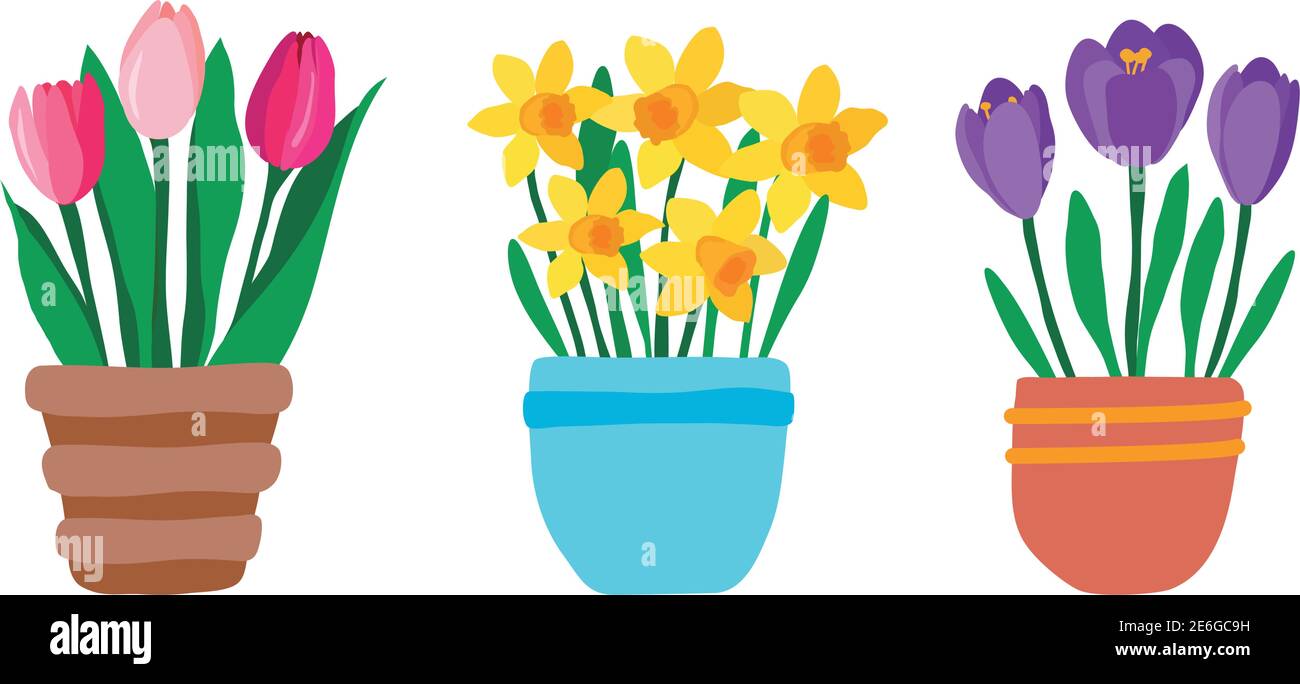 Yellow crocus plants Stock Vector Images - Alamy