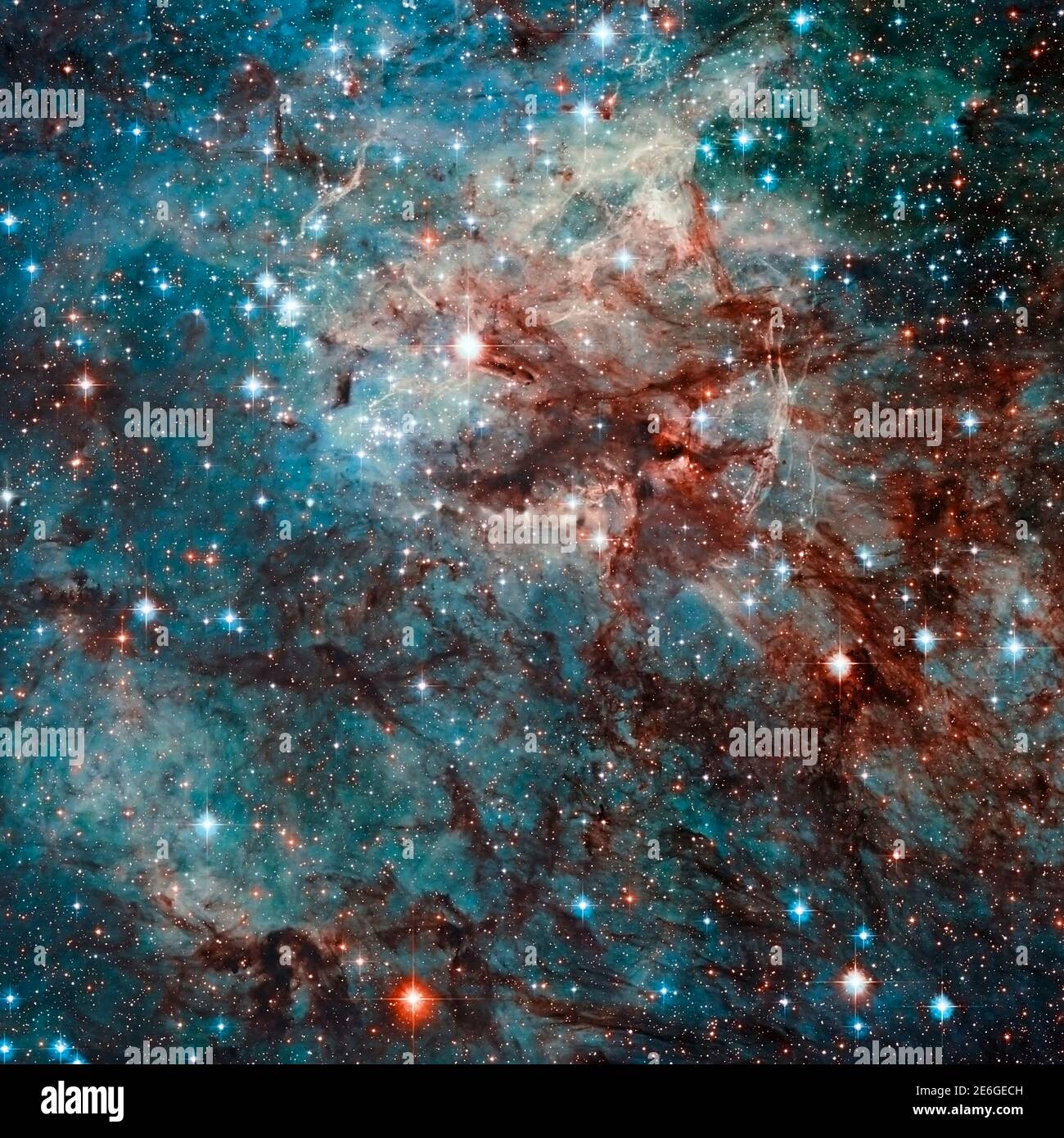 Tarantula Nebula Galaxy