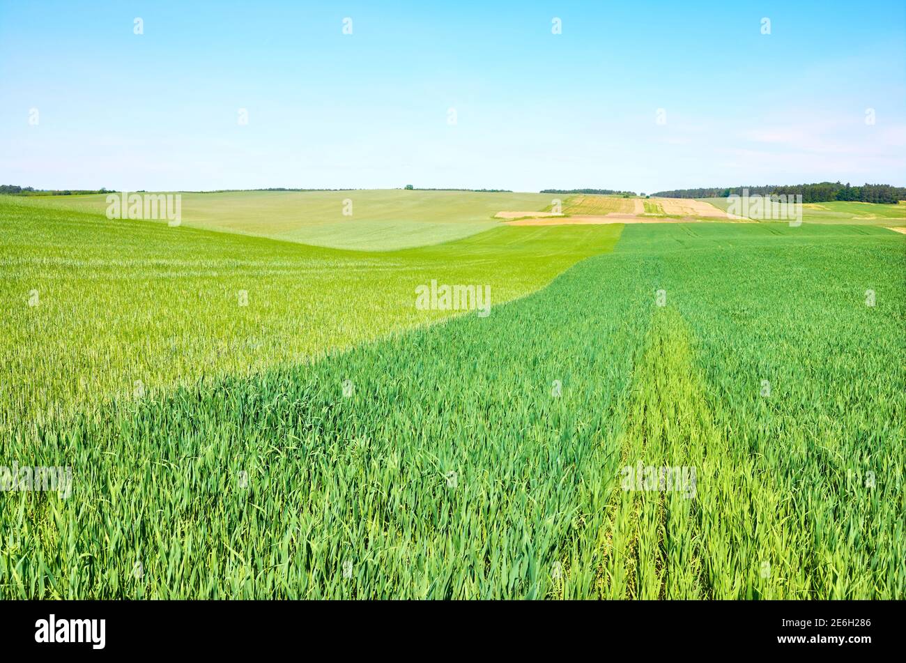 Green crop hi-res stock photography and images - Alamy