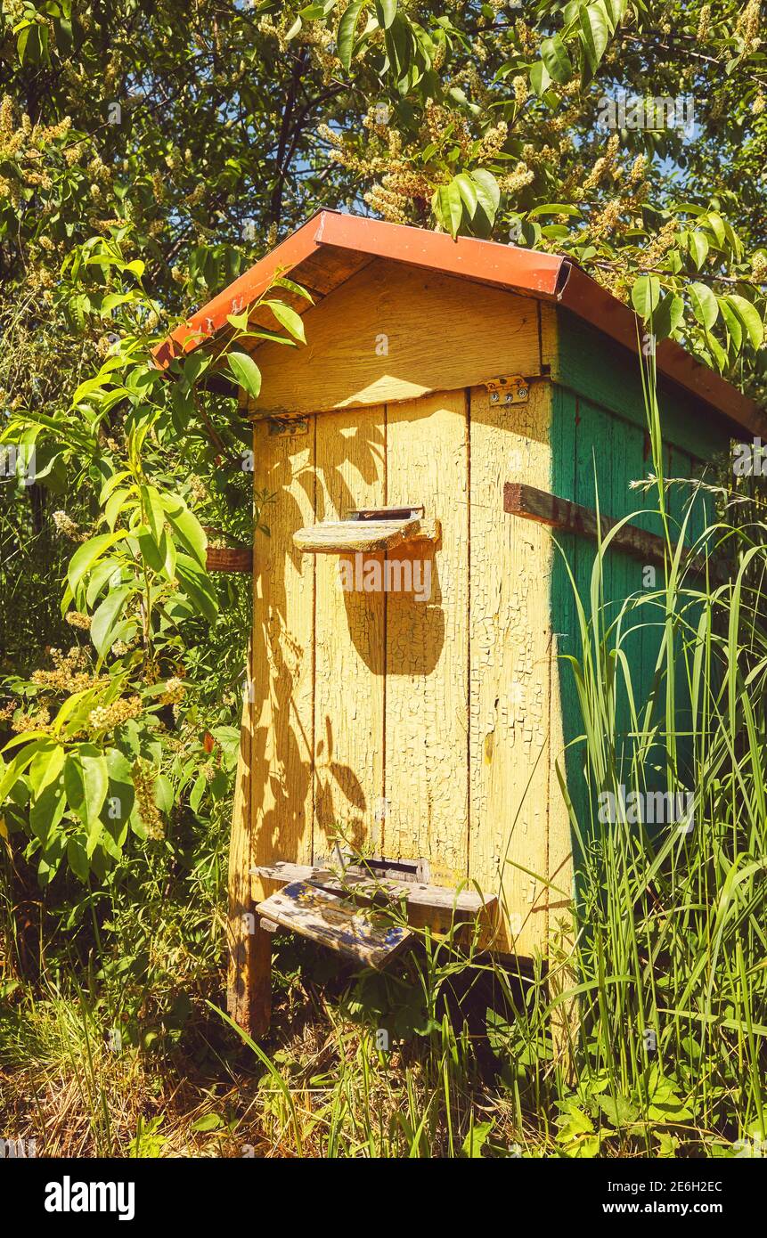 Old wooden beehive in a rural garden Stock Photo - Alamy