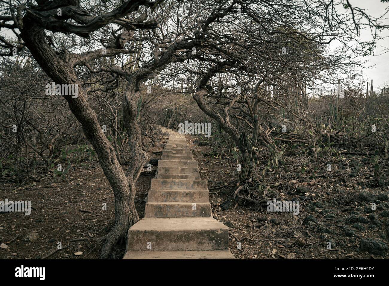 Hooiberg steps hi-res stock photography and images - Alamy