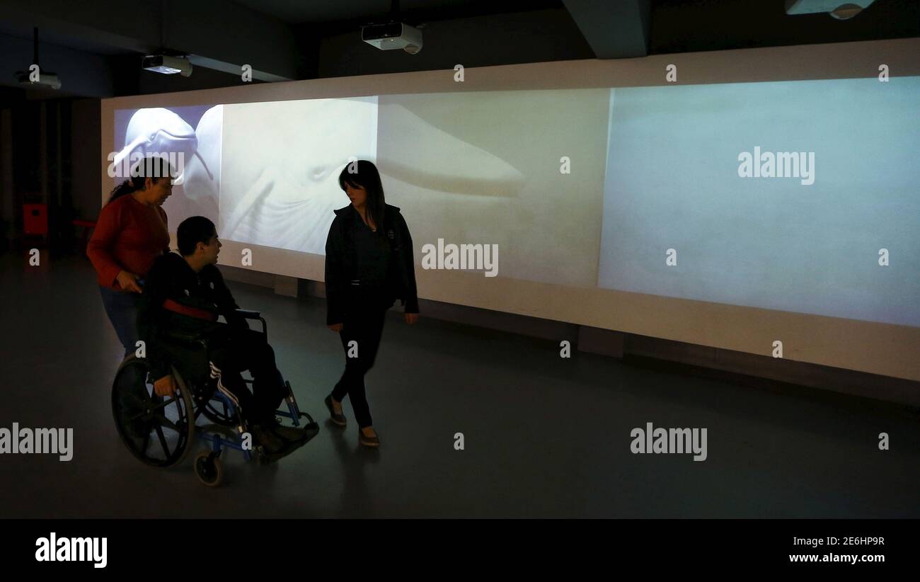 Human occupied vehicle hi-res stock photography and images - Alamy