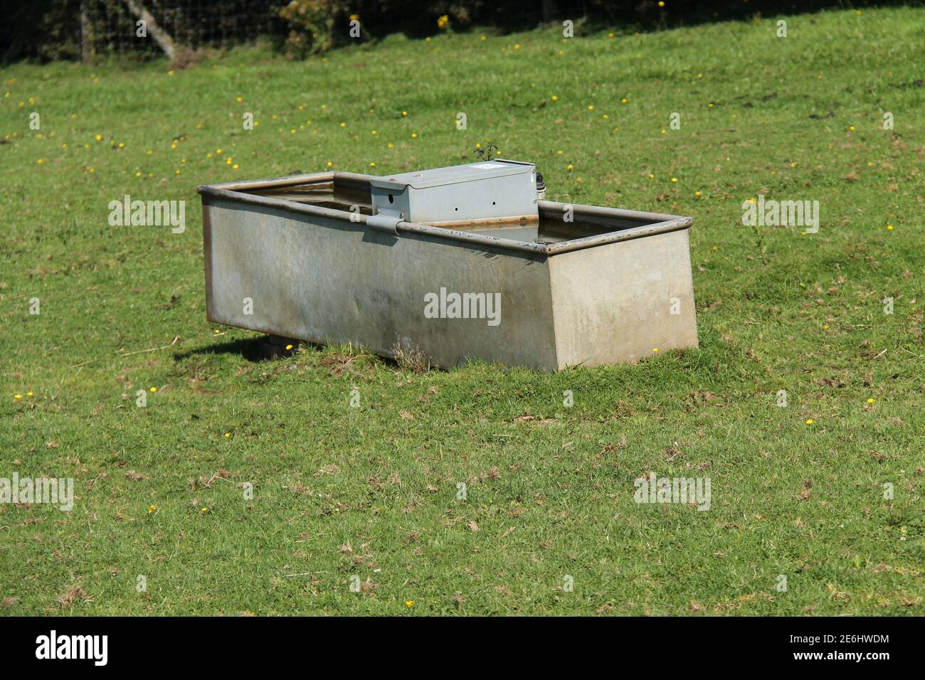 A Farm Field Trough for Animal Drinking Water Stock Photo - Alamy